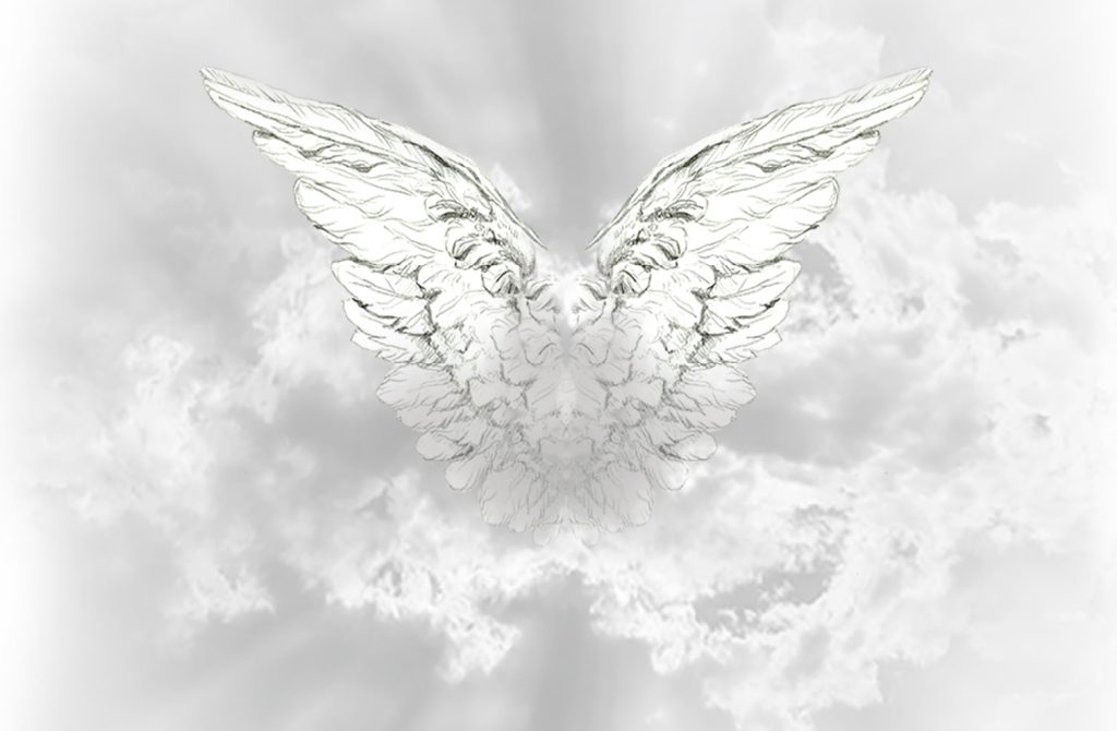 Angel Wings – Foundations+