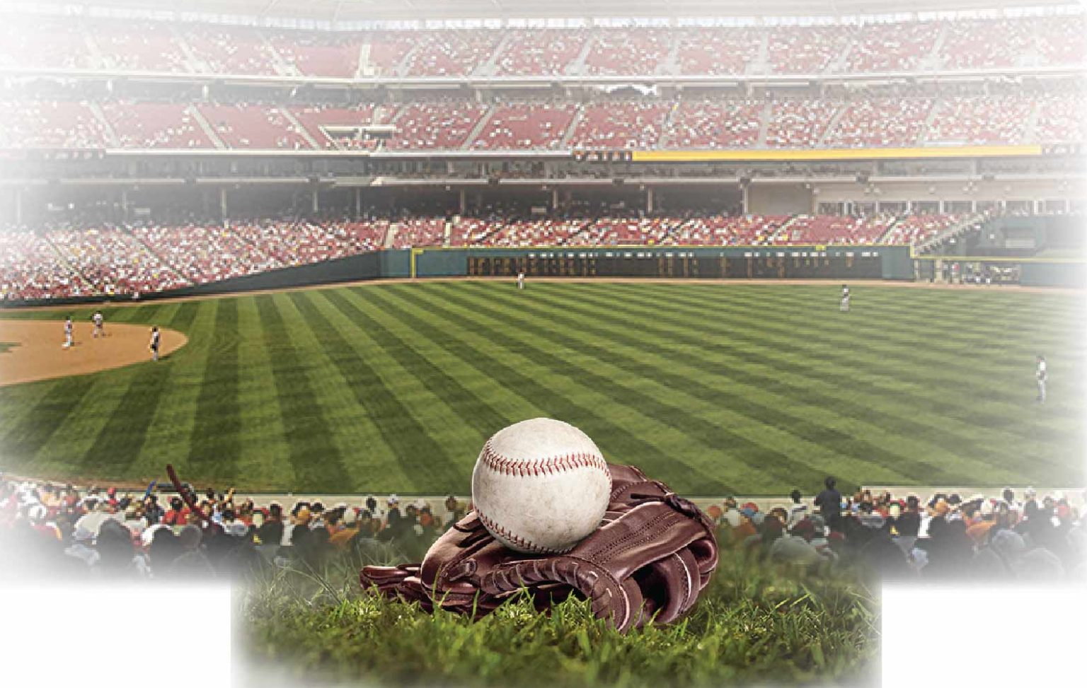 Baseball – Foundations+